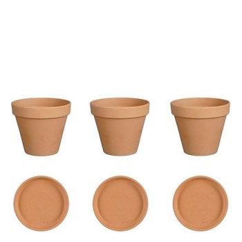 Lillepotid - lai valik nii tuppa kui õue! | Decora